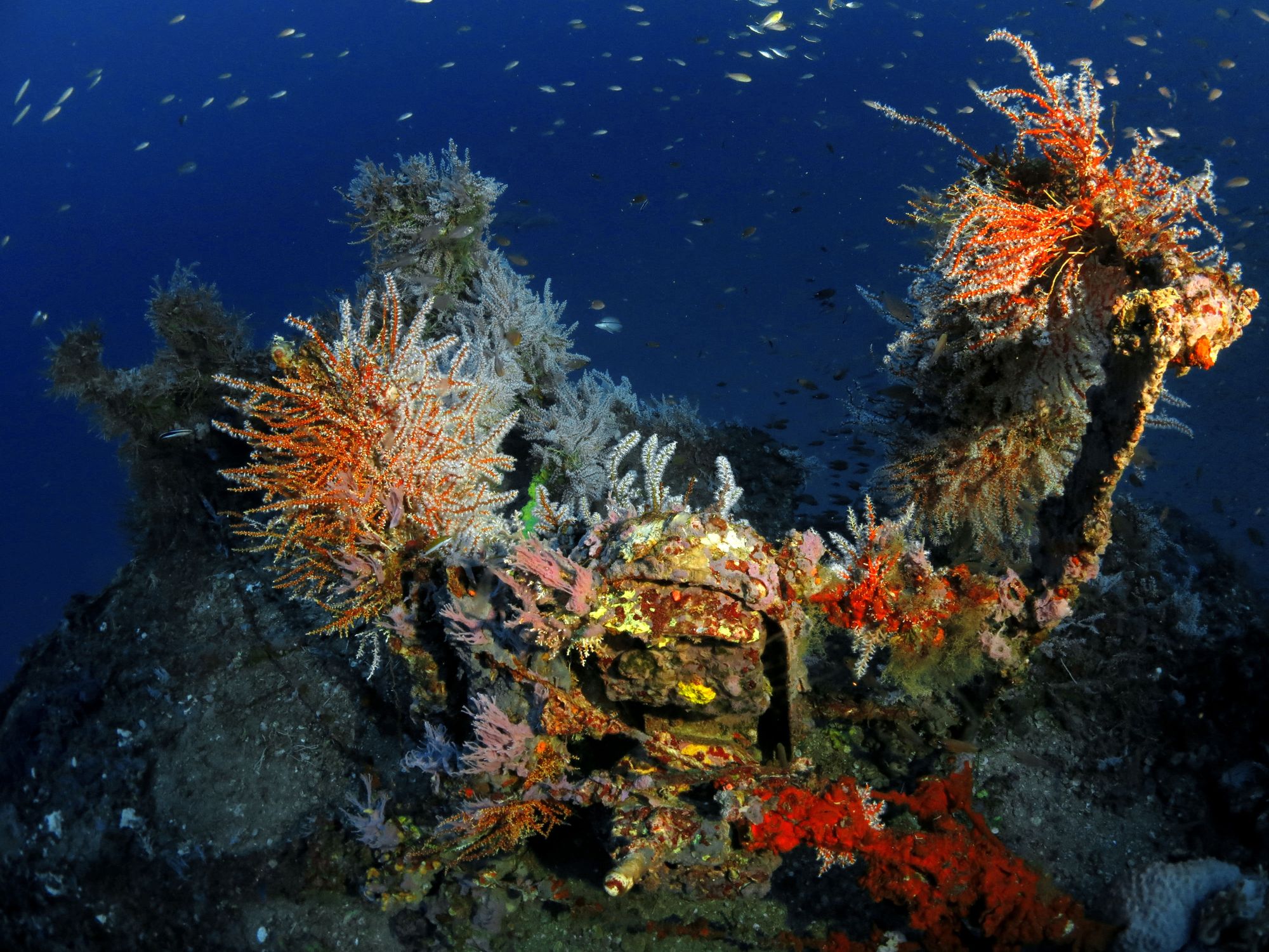 Scuba Dive and Experience Brunei | The Outdoor Voyage