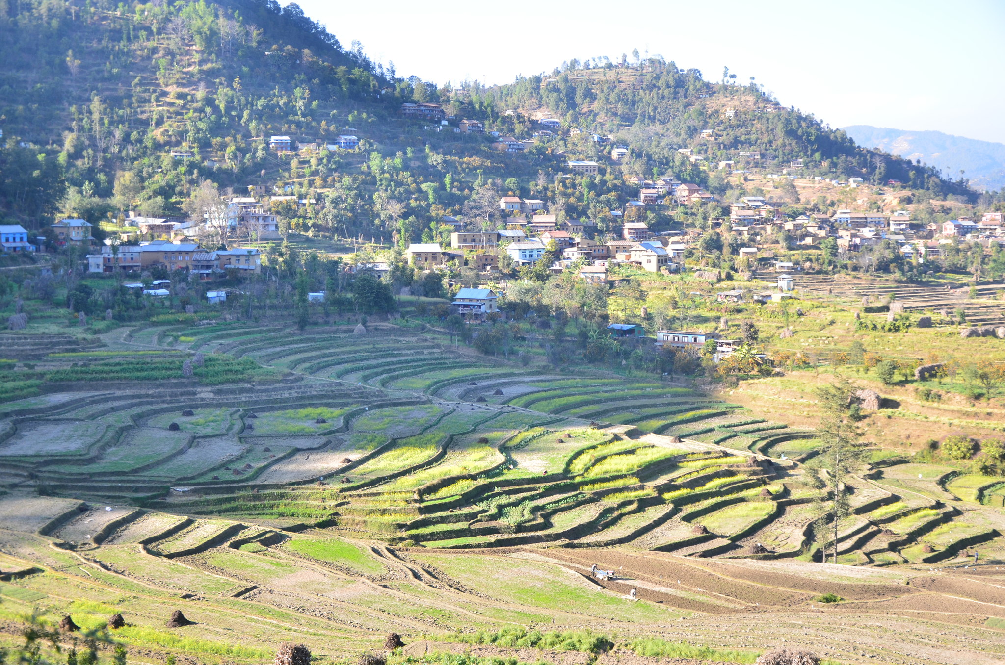 Expeditious Tour of Himalayan Culture | The Outdoor Voyage