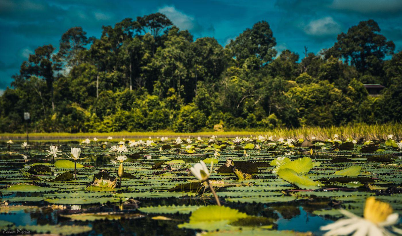 Dive and Explore the Green Heart of Borneo | The Outdoor Voyage
